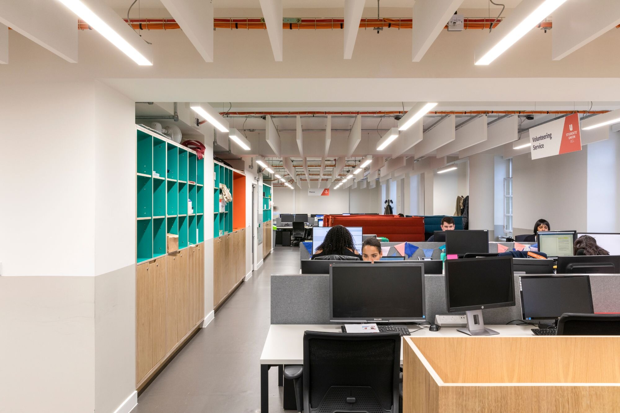 Lighting for schools. Standard, Made to Measure, Bespoke
